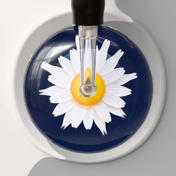 Daisy Flower Stethoscope - Ultrascope Custom Stethoscopes