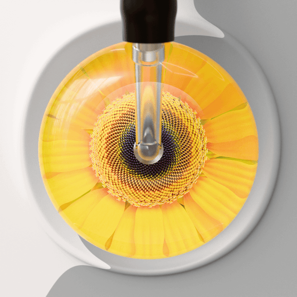 Sunflower Stethoscope - Ultrascope Stethoscopes Lifetime Warranty